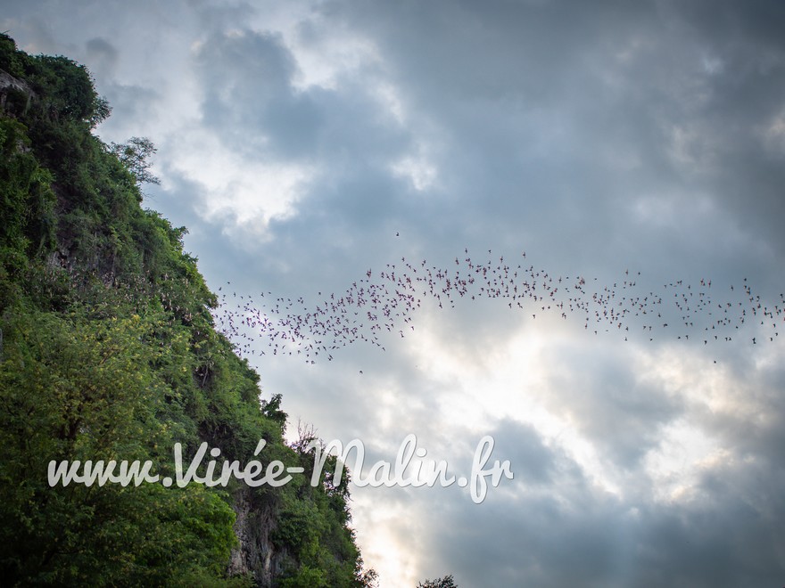 Que visiter à Battambang et où dormir à Battambang ? Cartes! Virée-Malin.fr